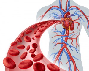 Coronary Artery Disease (CAD) | Cardiovascular Medical Group of ...